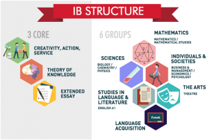 IB: International Baccalaureate Test Explained | Study Tips