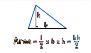 How to Find The Base of a Triangle? | Study Tips